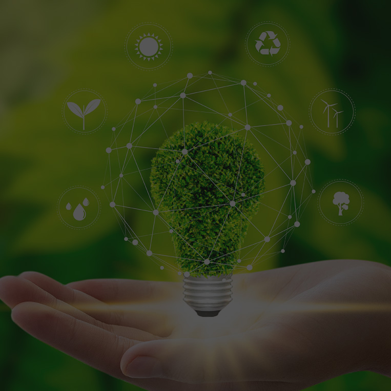 Chhatral Environment Management System Pvt. Ltd.